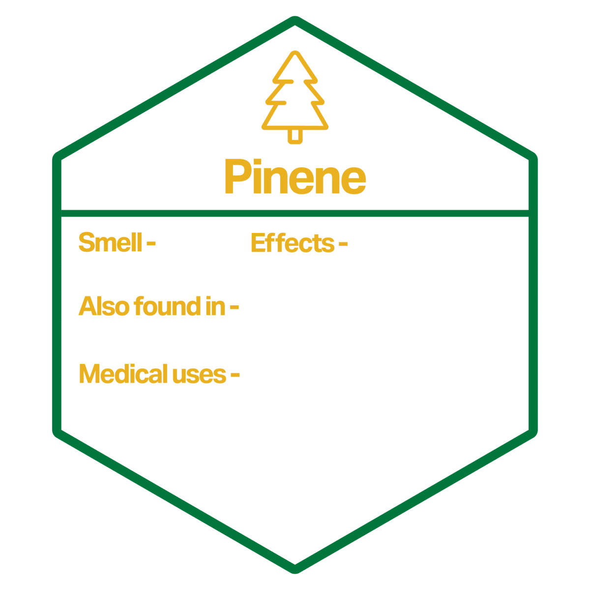 What Are Cannabis Terpenes And How Do They Work?